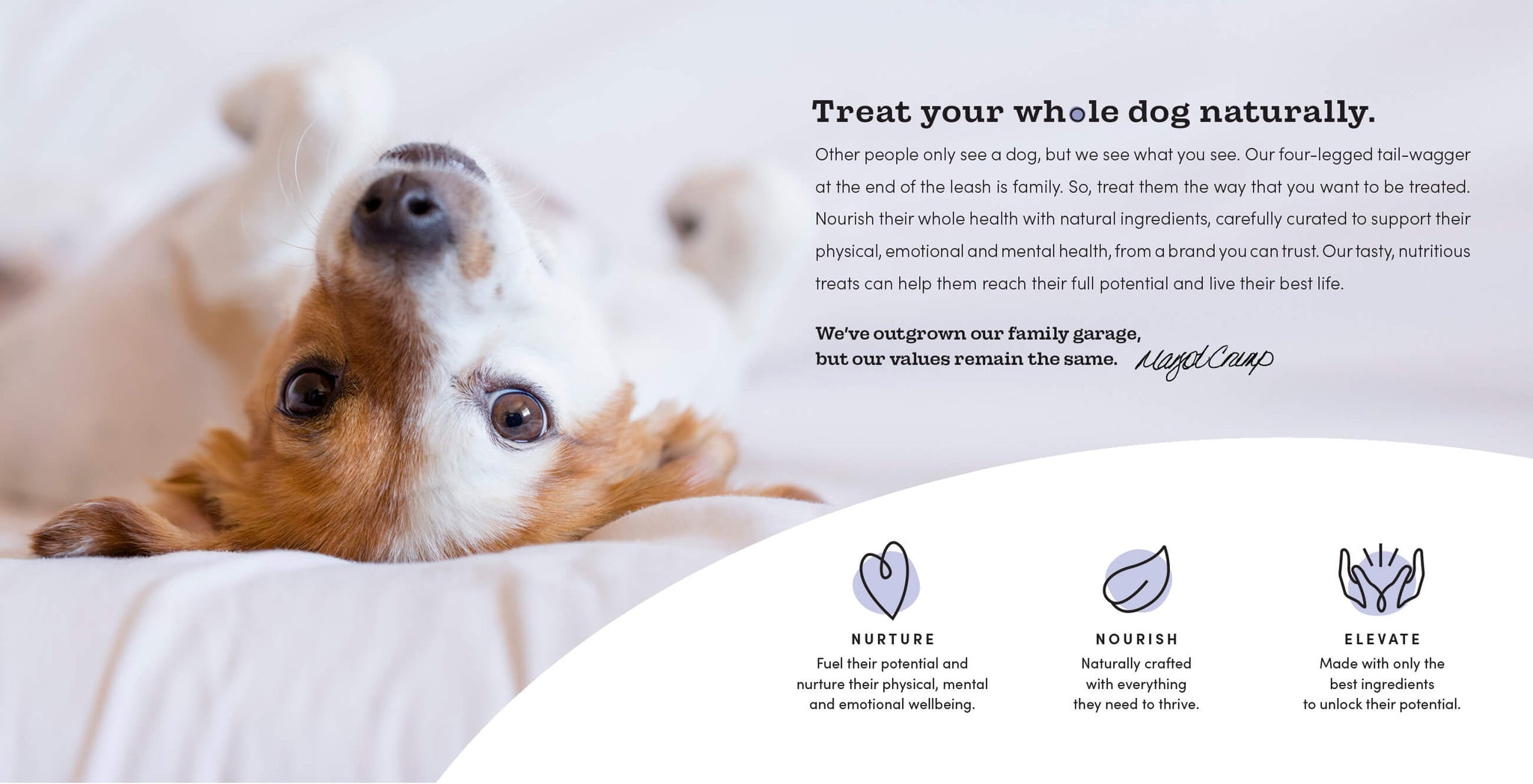 Crumps' Naturals | Healthy Dog Treats Made with All Natural Ingredient ...